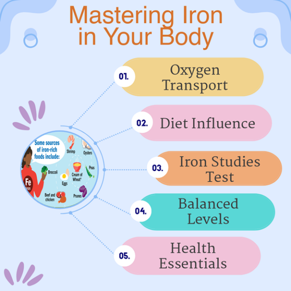 Understanding the Iron Studies Test: What It Is and Why It's Crucial ...